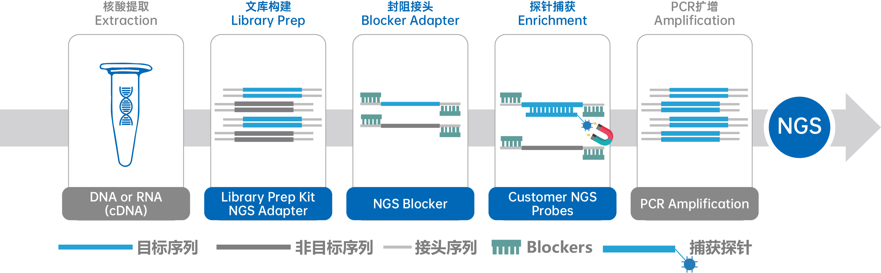 靶向捕获测序定制 -生工生物-生命科学产品与技术服务